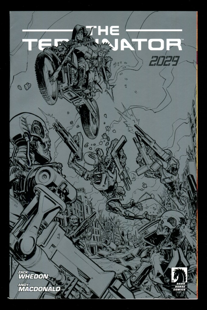 Conan Red Sonja Convention Exclusive Variant Comic Robert E Howard REH Barbarian ...